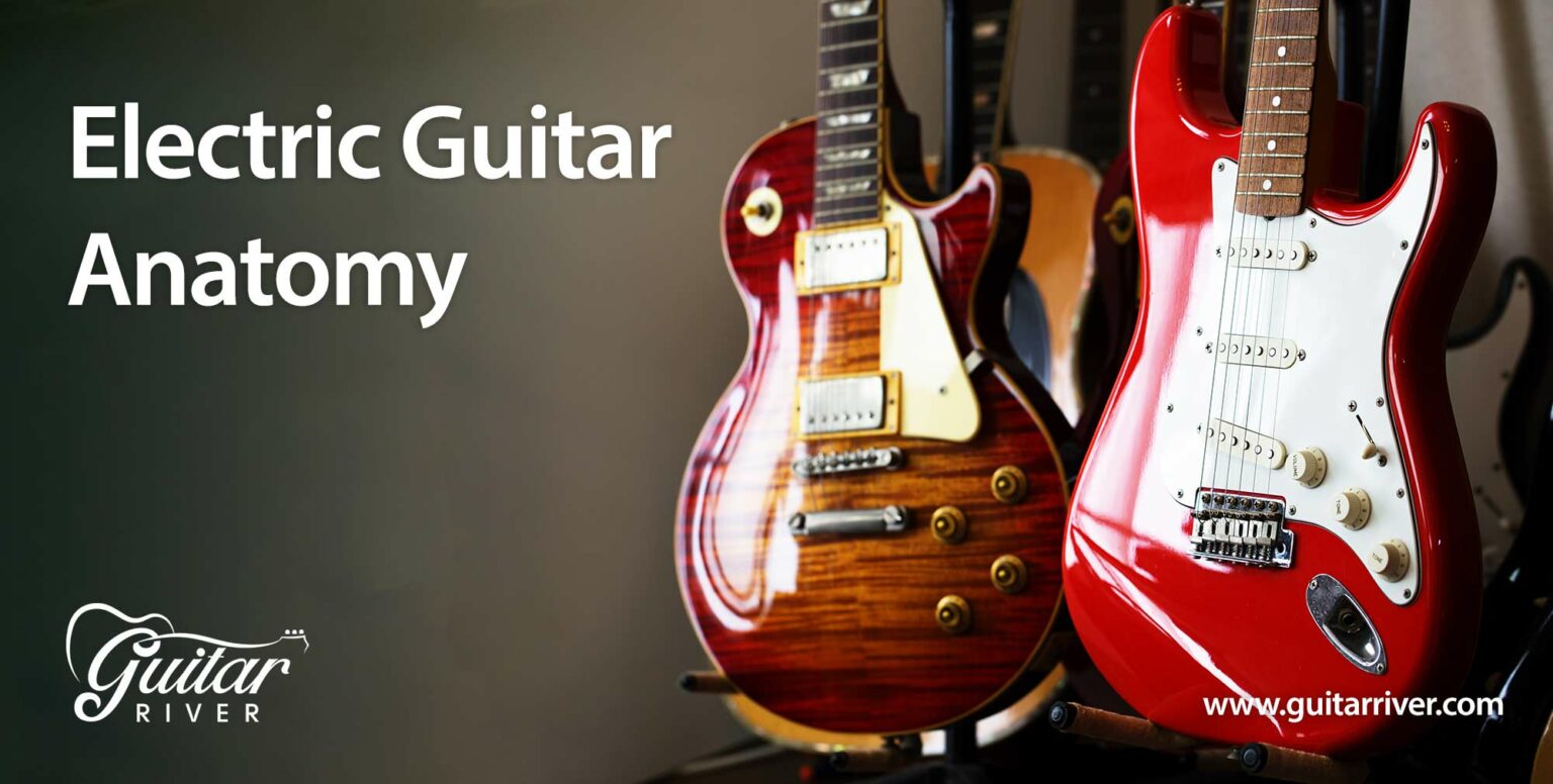 Electric Guitar Anatomy: The Parts Of The Electric Guitar - Guitar River